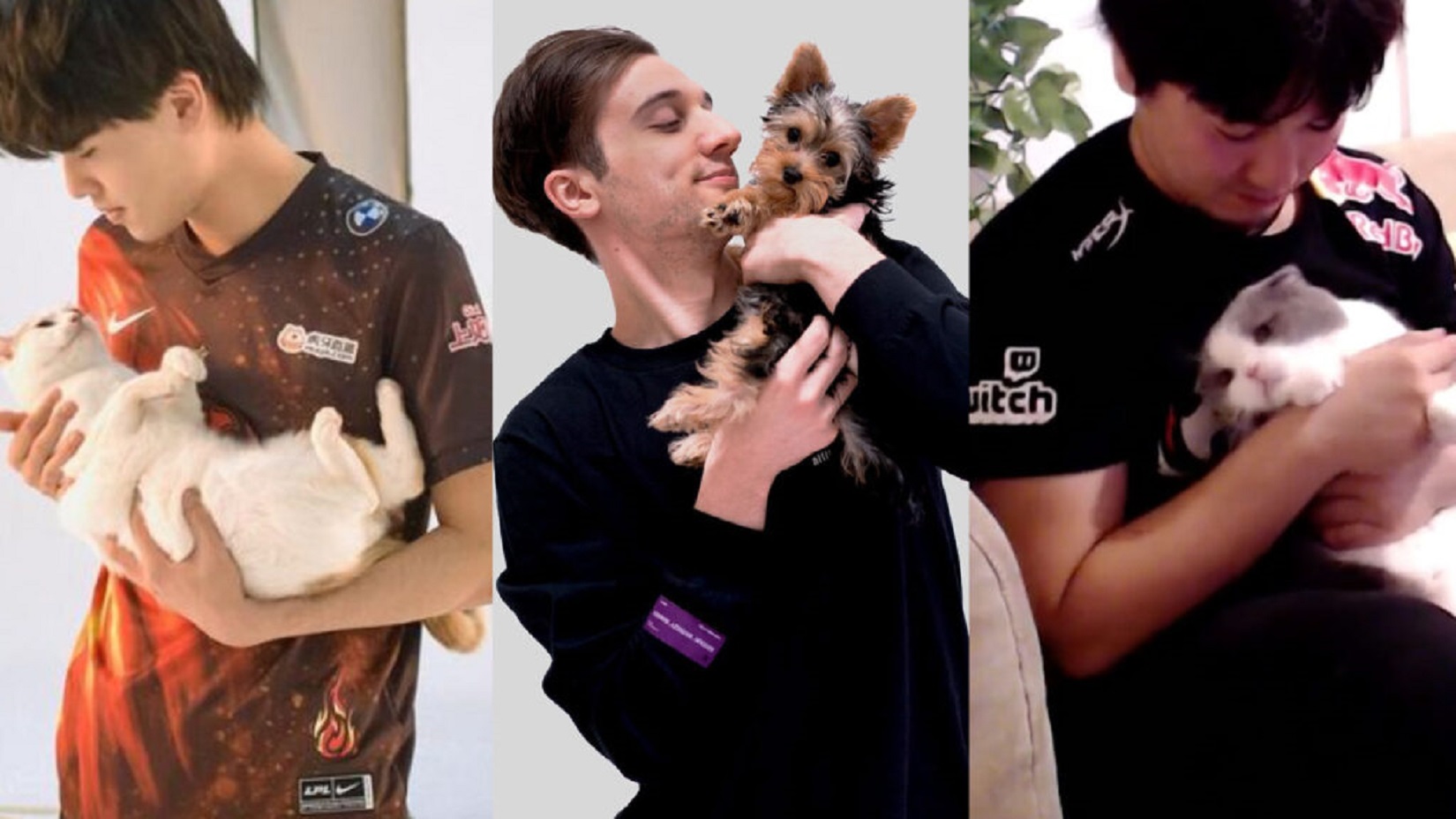 Gặp gỡ 'gia đình' thú cưng của các tuyển thủ Esports | ONE Esports Vietnam